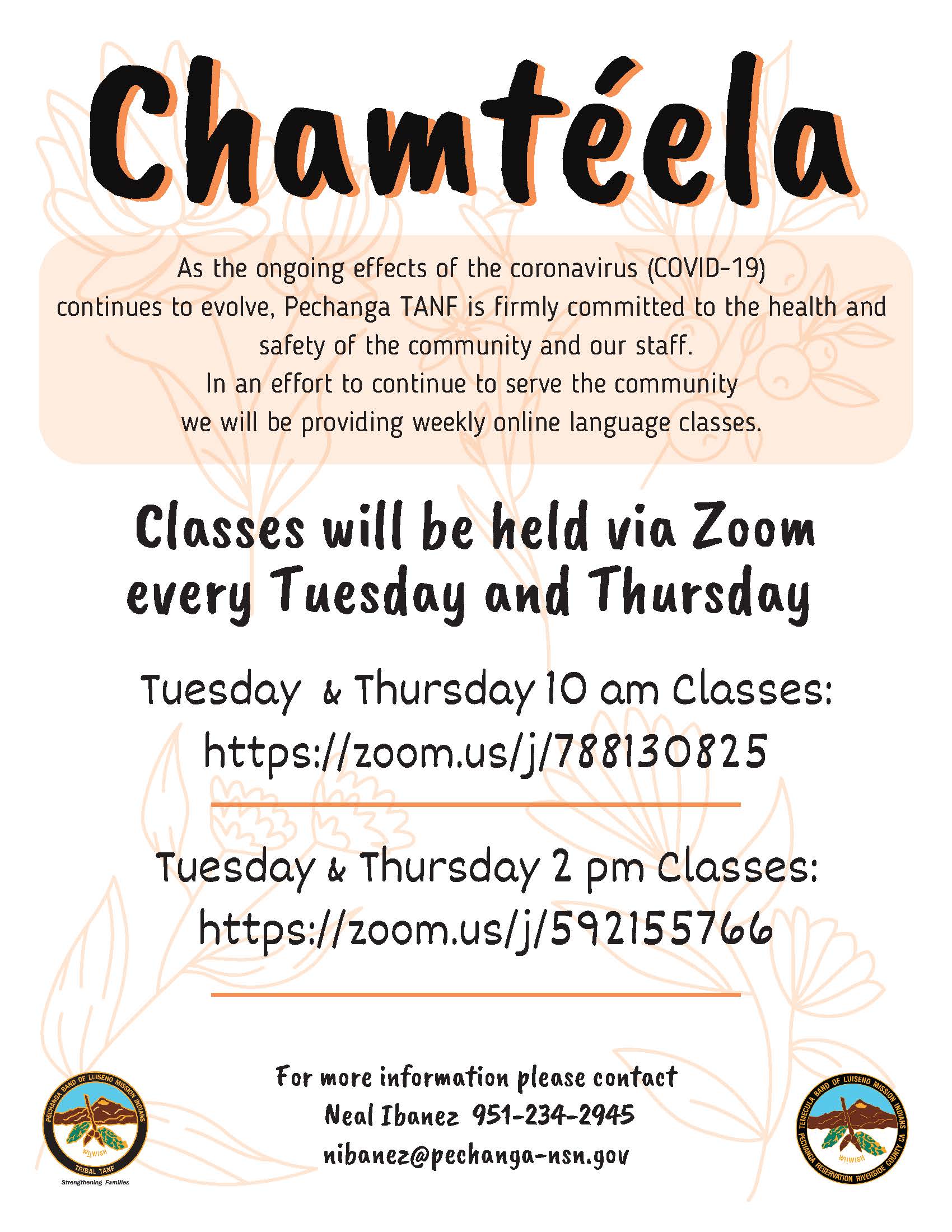 Pechanga TANF - Activities/Flyers