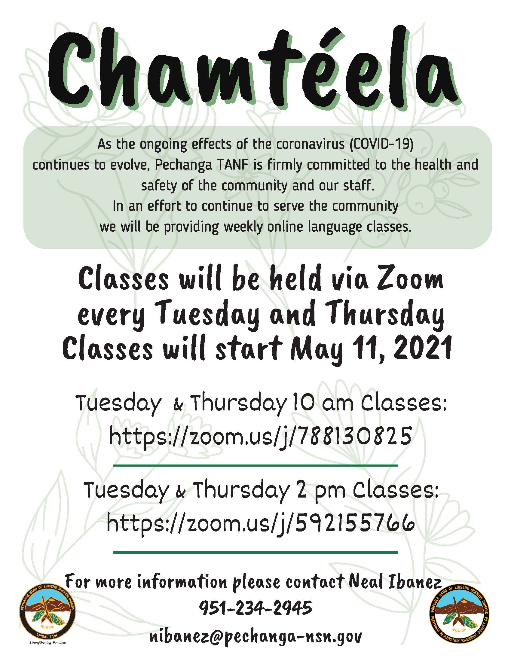 Pechanga TANF - Activities/Flyers